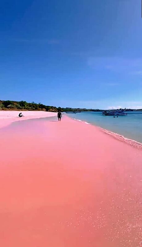 Lombok: Pink Beach & Exclusive Snorkeling Gili Petelu - Key Points