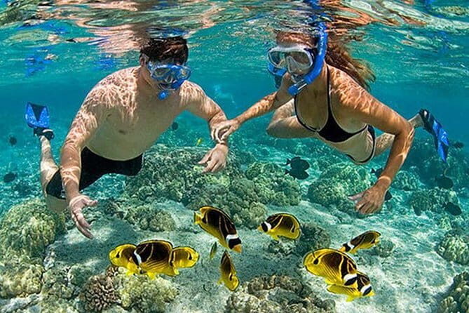 Lombok Pink Beach Island Hopping and Snorkeling Trip - Who Is This Tour Best For?