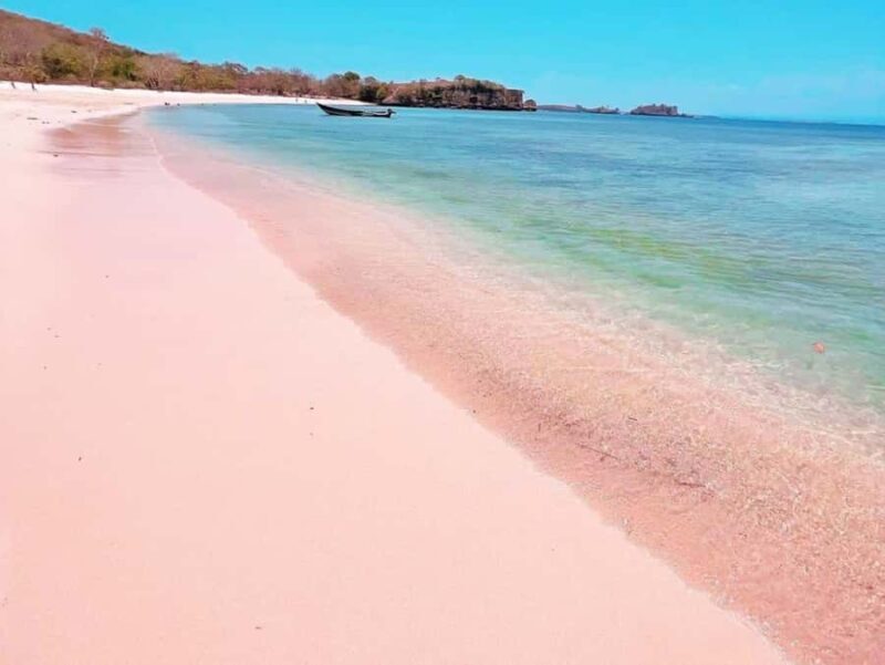 Lombok: Pink Beach Snorkeling and Picnic Tour Fullday - FAQ