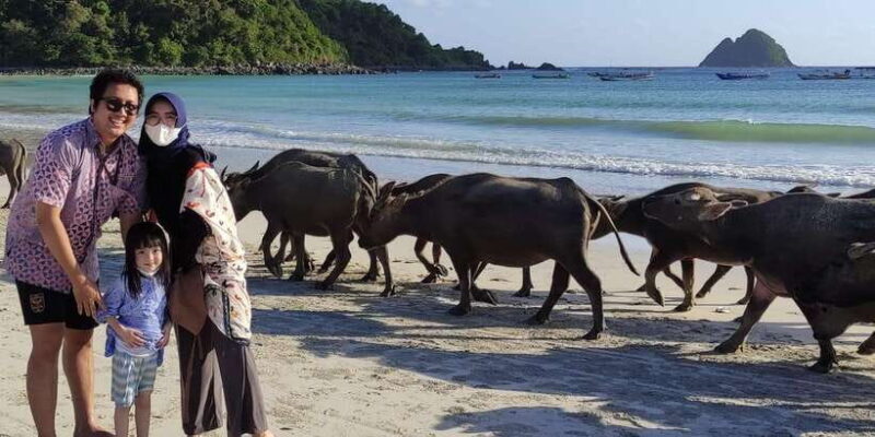 Lombok Private Car with Driver - Cost and Value