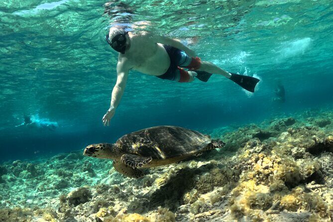 Lombok Private Customize Full Day Trip - Who Will Love This Tour?