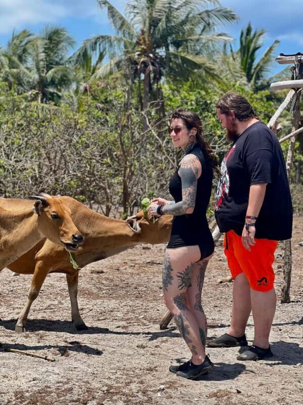 Lombok: Private day trip snorkeling in Secret Island - An In-Depth Look at the Snorkeling Adventure