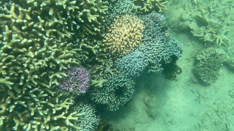 Lombok: Private day trip snorkeling in Secret Island - Who Should Consider This Tour?