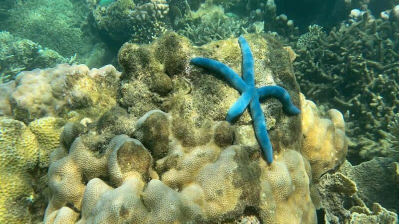 Lombok: Private day trip snorkeling in Secret Island - The Sum Up