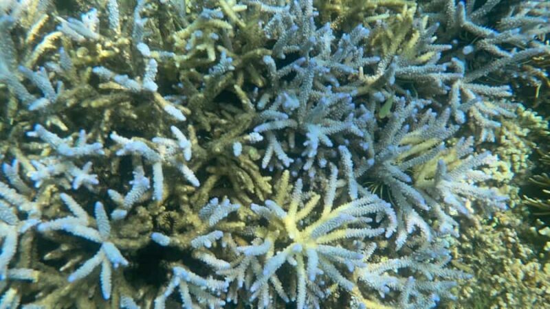 Lombok: Private day trip snorkeling in Secret Island - FAQ