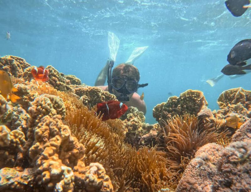 Lombok: Private Pink Beach & Gili Snorkeling Tour with GoPro - An Overview of the Tour Experience