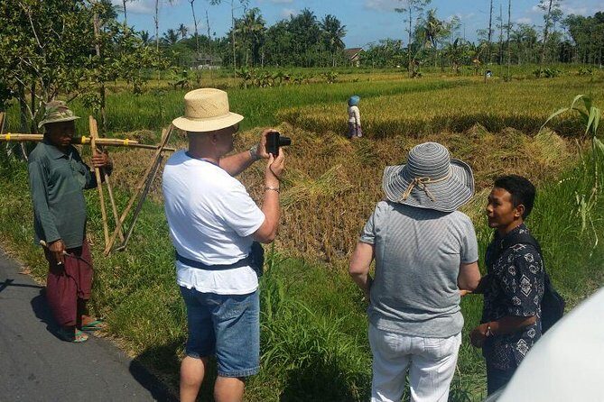 Lombok Private Sasak Tour (Culture & Beaches) - Who Will Love This Tour?