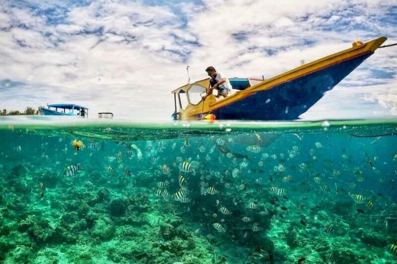 Lombok: Private Snorkeling,Gili Trawangan,Gili Meno,Gili Air - Key Points