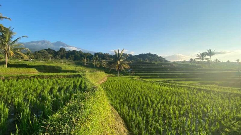 Lombok: Rice Field Terrace, Waterfalls, Culture & Tradition - A Detailed Look at the Experience