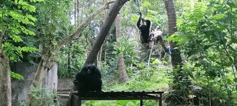 Lombok Safari Wildlife Park, Village and Waterfalls tour - The Practicalities: What to Expect and Tips