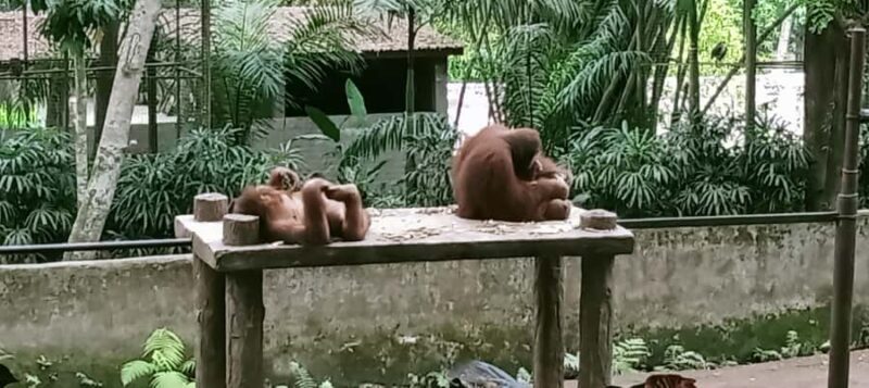 Lombok Safari Wildlife Park, Village and Waterfalls tour - The Sum Up: Is It Worth It?