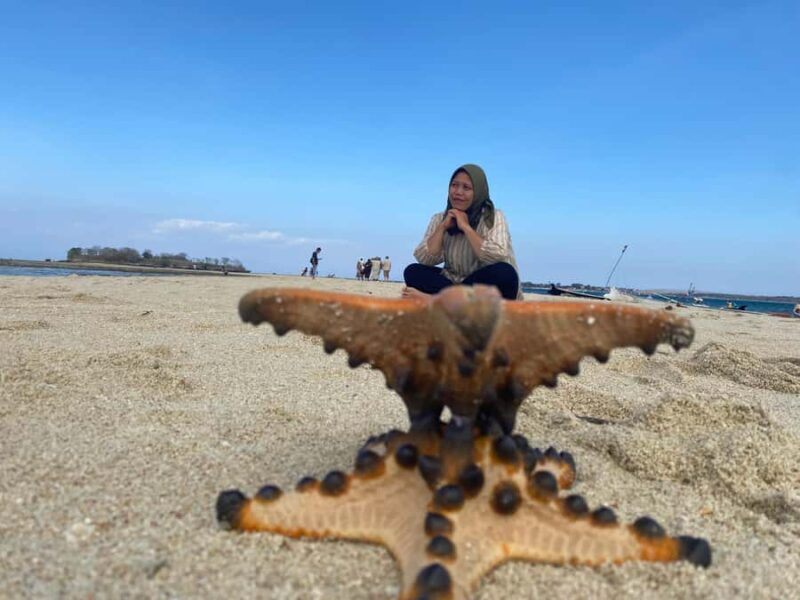 Lombok : Sand island, gili petelu, gili gambir & pink beach - The Sum Up