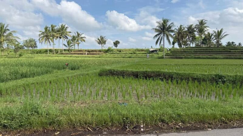 Lombok: Sasak Villages, Pottery and south beach Tour - Who Will Love This Tour