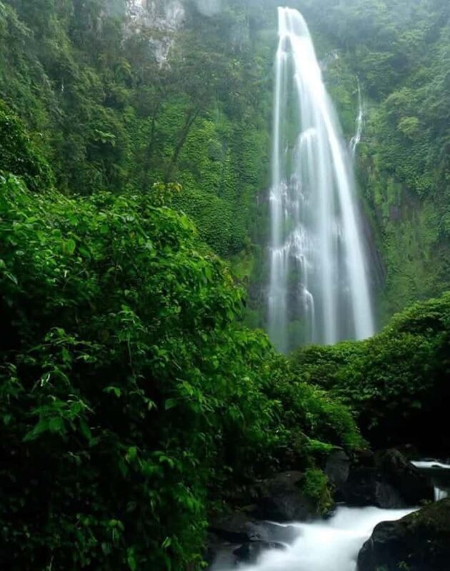 Lombok: Sekeper Waterfall  Hidden Gem & Highest Waterfall - The Jungle Trek: A Natural Playground