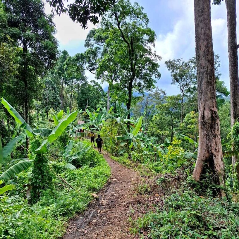 Lombok: Sekeper Waterfall  Hidden Gem & Highest Waterfall - What Reviewers Say