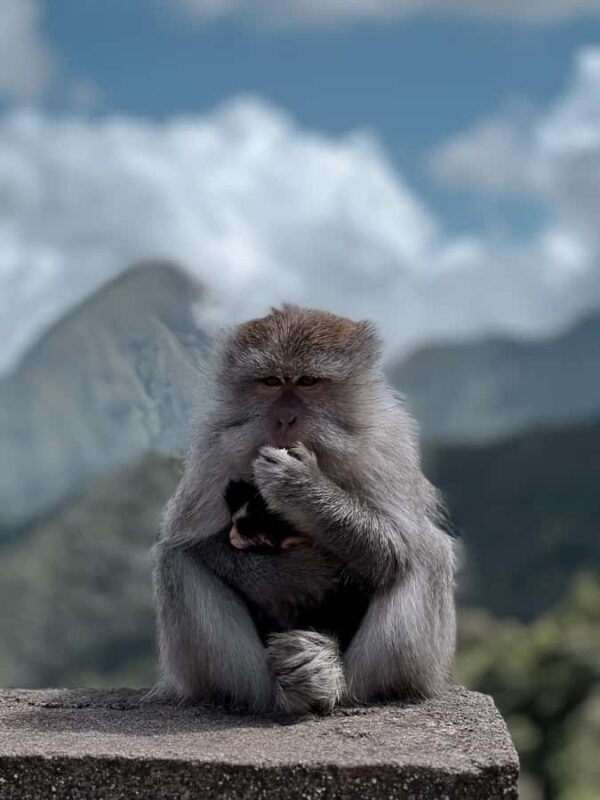 Lombok : Sembalun Crater & Hidden Waterfall - Introduction: What’s This Tour All About?