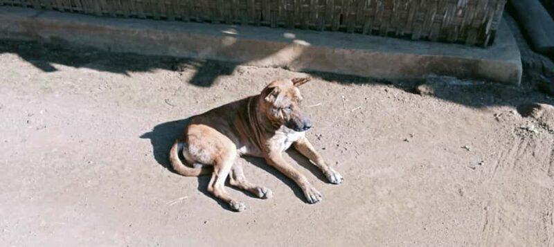 Lombok Senaru: Sasak Village, Waterfall & River Tubing Tour - Final Thoughts