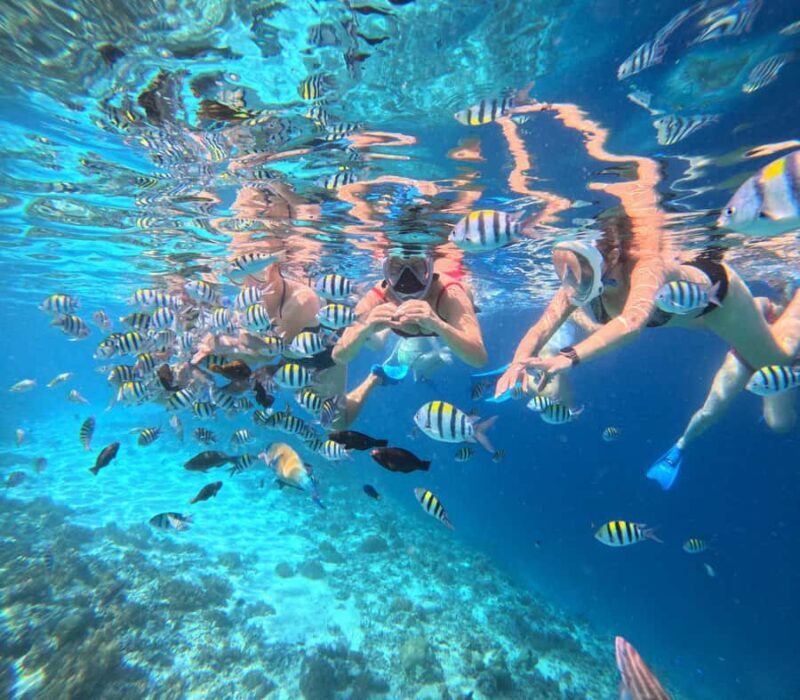 Lombok: Snorkeling & Island Hopping to The Southwest Gilis - Final Thoughts: Who Will Love This Tour?