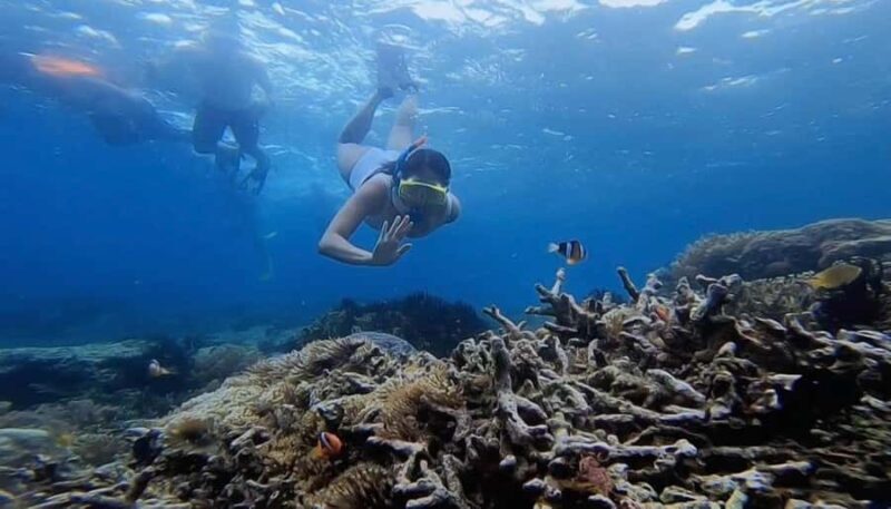 Lombok Snorkeling to Gili Nanggu, Tangkong, Sudak and Kedis - An In-Depth Look at the Lombok Snorkeling Tour