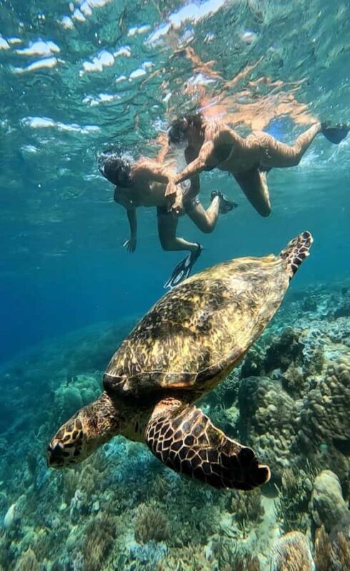 Lombok Snorkeling to Gili Nanggu, Tangkong, Sudak and Kedis - Final Thoughts: Is It Worth It?