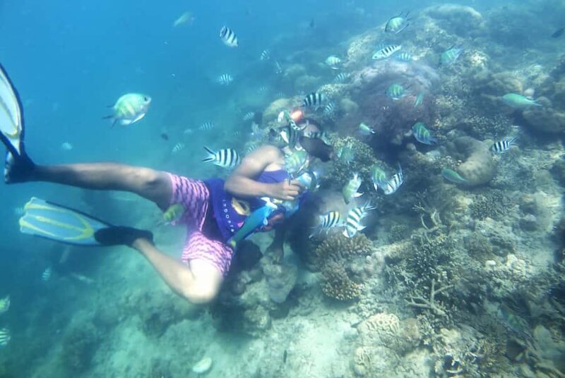 Lombok: Snorkeling Trip Gili Nanggu, Sudak & Kedis - Key Points