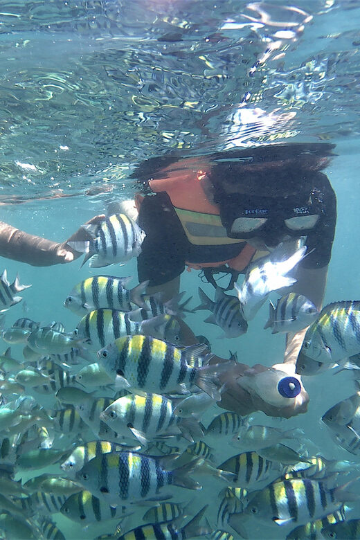 Lombok: Snorkeling Trip Gili Nanggu, Sudak & Kedis - FAQ