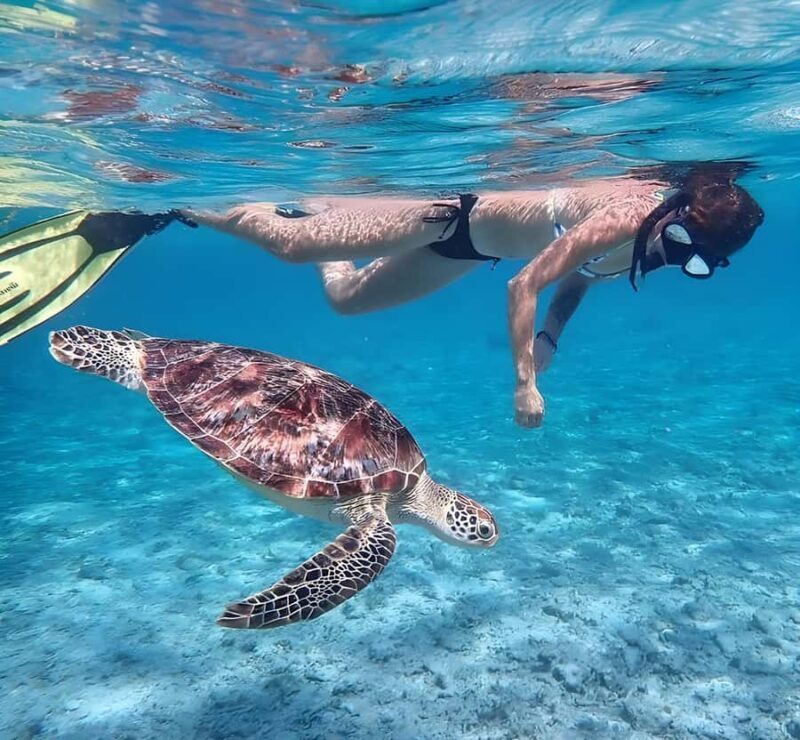 Lombok : Snorkeling Trip (Gili Trawangan, Meno & Gili Air) - Overview of the Tour Experience