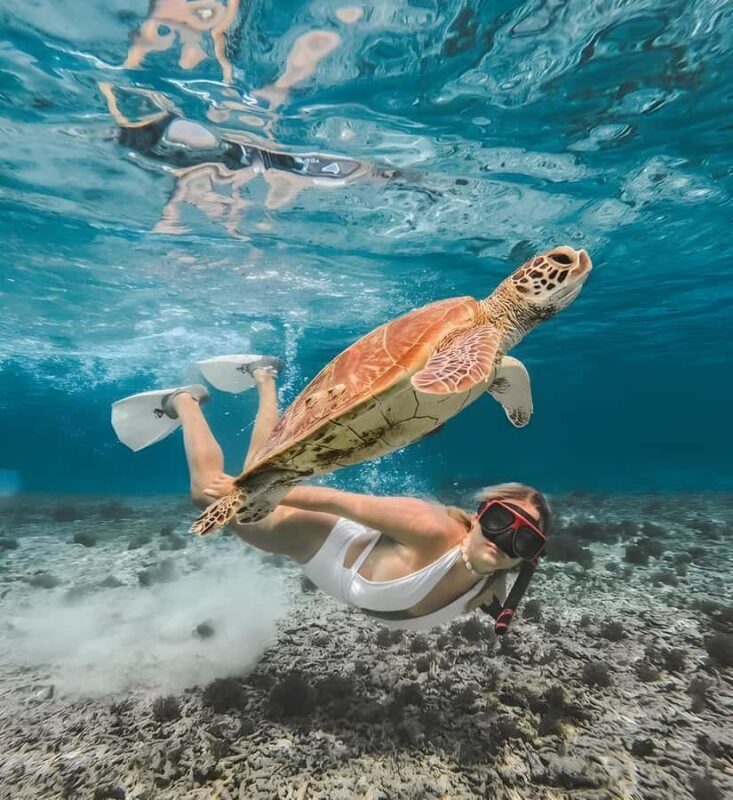 Lombok : Snorkeling Trip (Gili Trawangan, Meno & Gili Air) - The Value and Practicalities