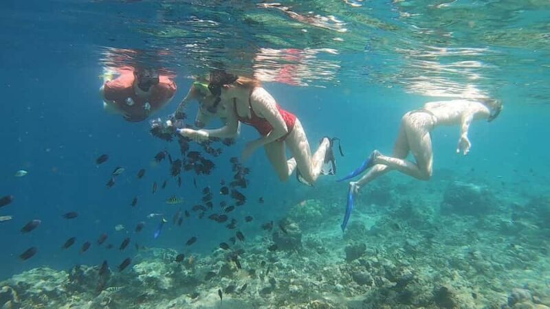 Lombok: Snorkeling Trip Secret Gilis Layar, Rengit & Gede - What Makes This Snorkeling Trip Special?
