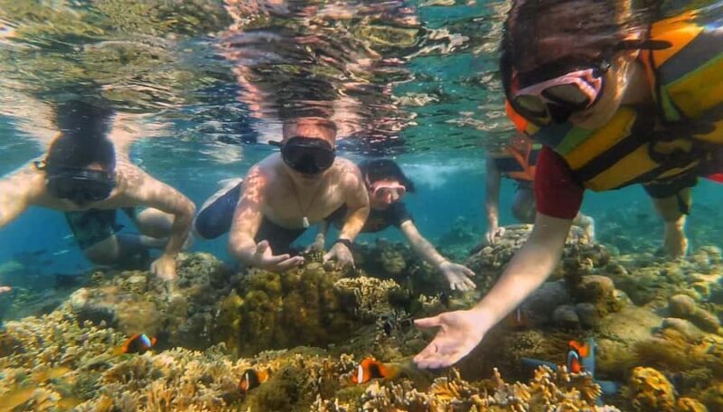 Lombok: Snorkeling Trip Secret Gilis Layar, Rengit & Gede - What to Expect During Your Day