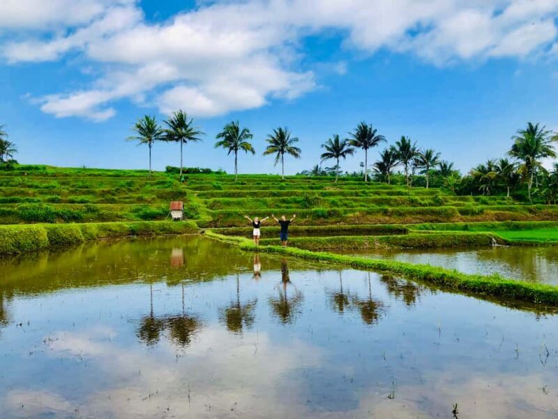 Lombok Solo Group Adventure: Jungle Trek & Waterfalls - Exploring Lombok’s Jungle and Waterfalls: An Honest Look at the Solo Group Adventure