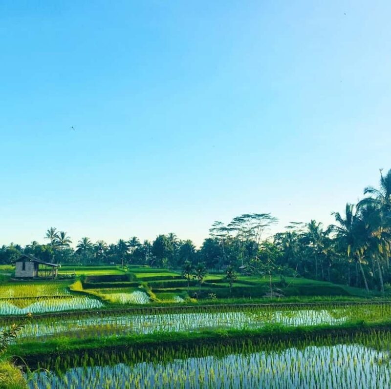 Lombok Solo Group Adventure: Jungle Trek & Waterfalls - FAQs