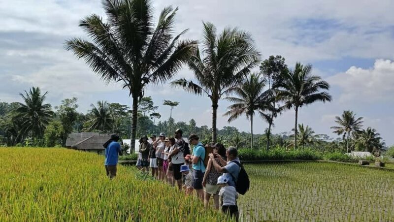 Lombok: Tetebatu Village and Rice Fields Guided Tour - Who Will Love This Tour?