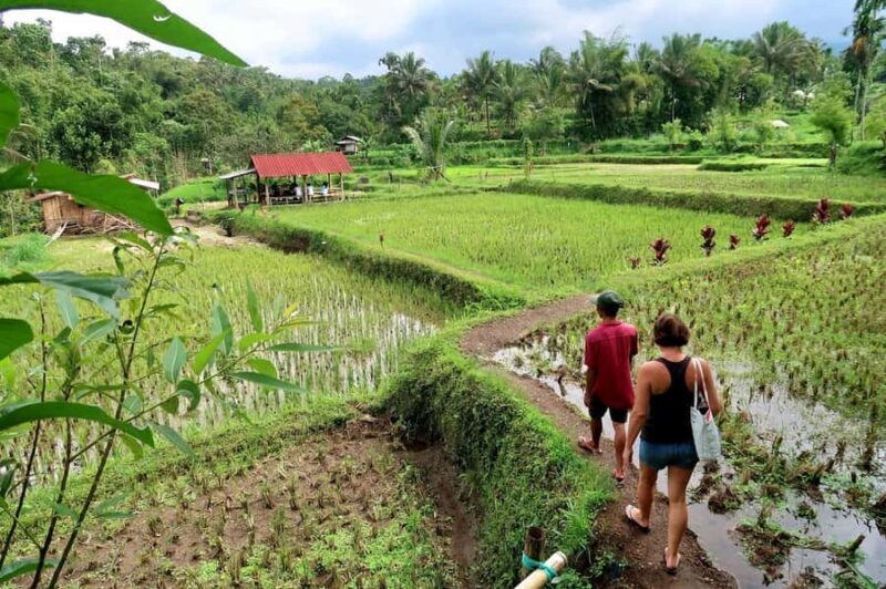 Lombok: Tetebatu Village and Rice Fields Guided Tour - Final Thoughts