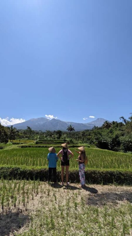 Lombok: Tetebatu Village Tour with Lunch and Pickup - Key Points