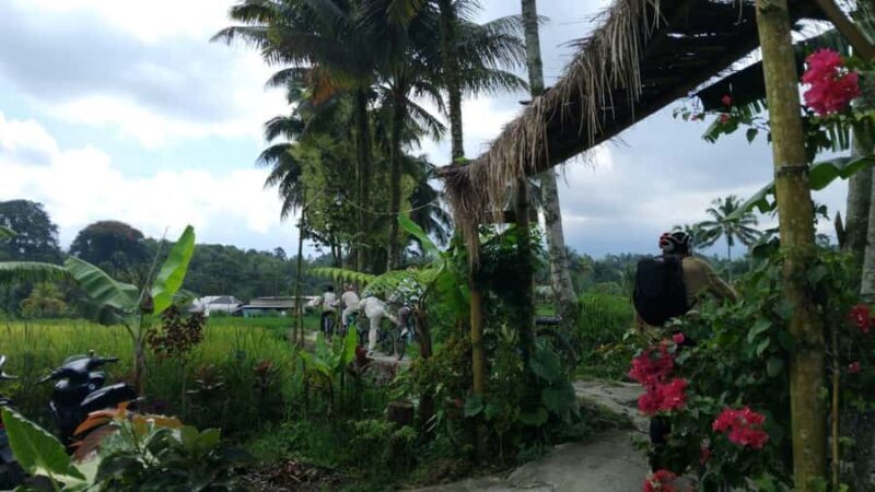 Lombok: Tetebatu Village Tour with Lunch and Pickup - The Sum Up