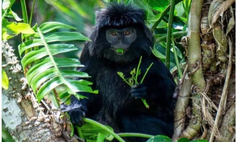 Lombok: Tetebatu Village Tour with Waterfalls & Lunch - A Closer Look at the Experience