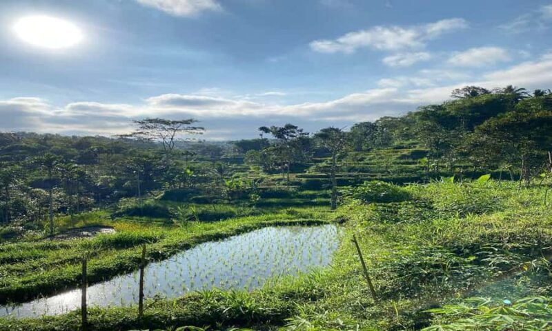 Lombok: Tetebatu Village Tour with Waterfalls & Lunch - Who Is This Tour Best For?