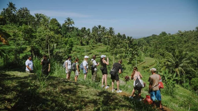 Lombok: Tetebatu Walk, Waterfall, Monkey Forest & Cooking - Who Will Love This Tour?