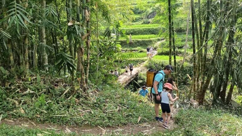 Lombok: Tetebatu Walking Tour with Monkey Forest & Waterfall - The Complete Experience: What to Expect