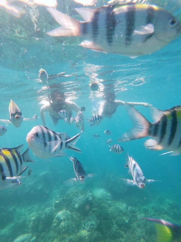 Lombok: the best snorkeling in Gili nanggu, kedis & sudak - Practical Details to Keep in Mind