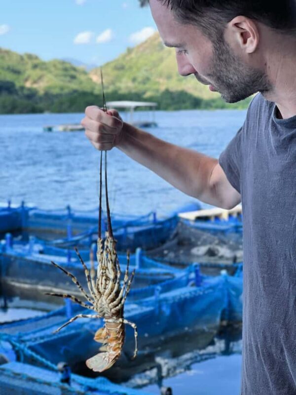Lombok: the best snorkeling in Gili nanggu, kedis & sudak - Final Thoughts