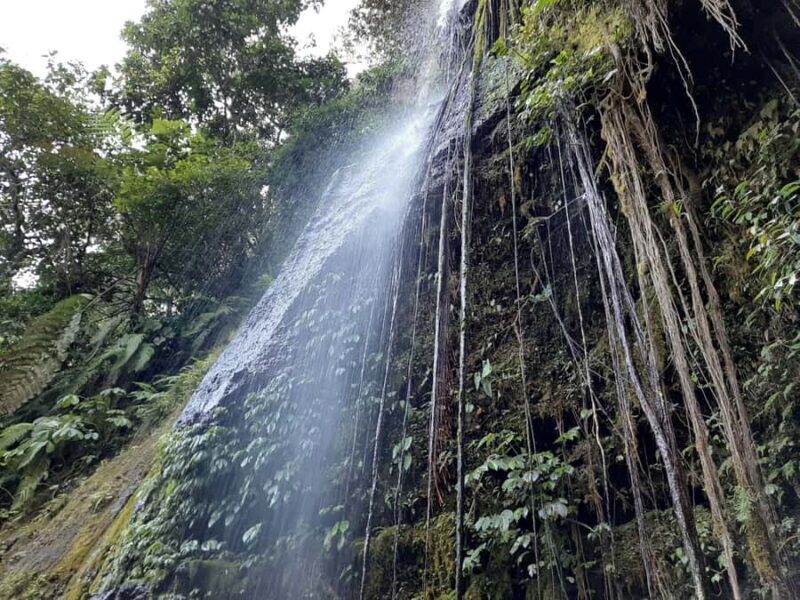 Lombok: The land and the Sasak people of Lombok | Waterfall, water castle - FAQ