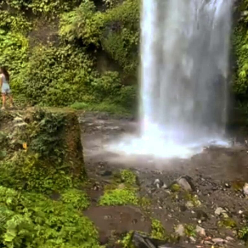 Lombok: Tiu Kelep Waterfall Tour and Sembalun Agro Tourism - The Top Highlights of This Tour