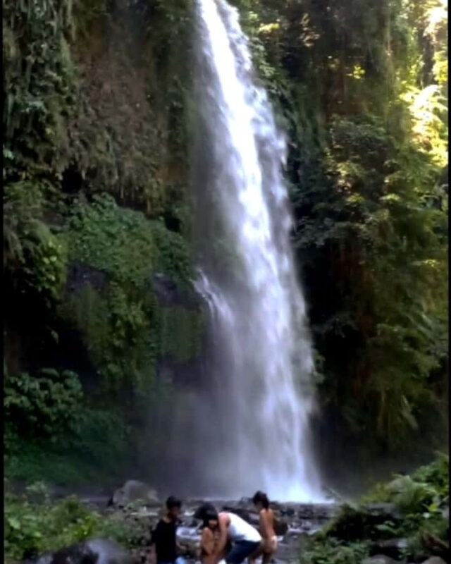 Lombok: Tiu Kelep Waterfall Tour and Sembalun Agro Tourism - Transportation, Duration, and Value