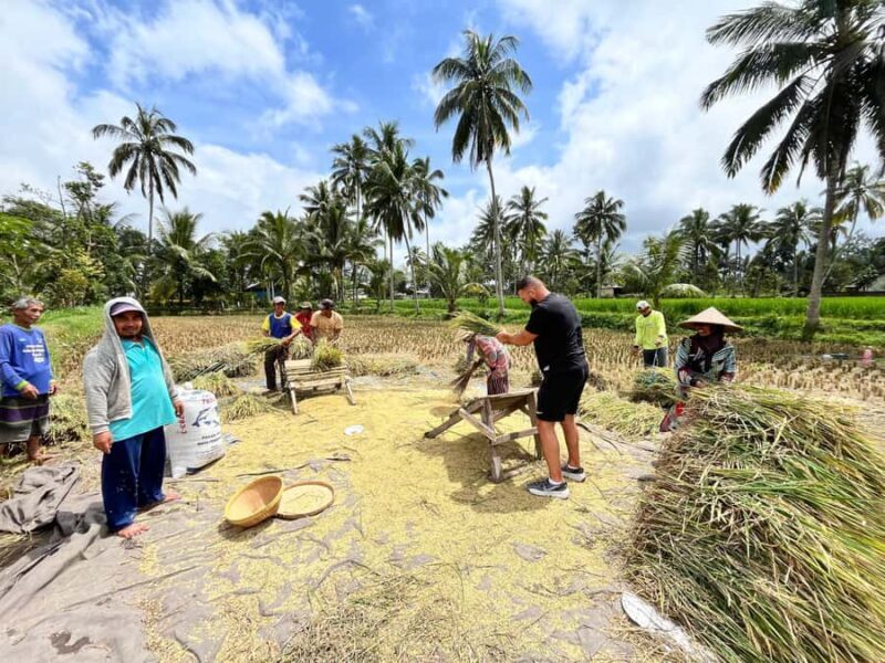 Lombok: Tour for Cruise Ship Passengers - The Itinerary in Detail
