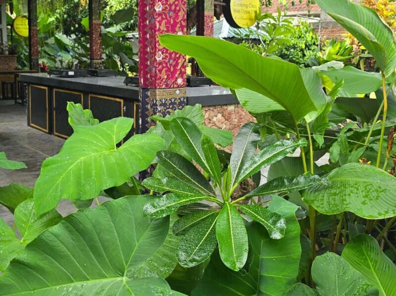 Lombok: Traditional Cooking Class by Mas Oppa - Key Points