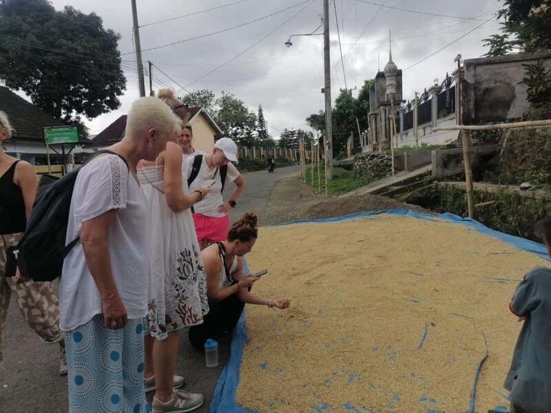 Lombok: Waterfall Benang Kelambu & Rice field Trip - An Engaging Introduction to the Tour