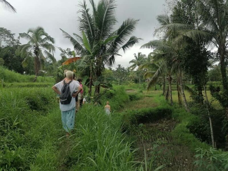 Lombok: Waterfall Benang Kelambu & Rice field Trip - The Itinerary in Detail