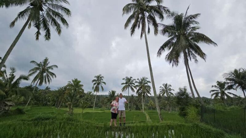 Lombok: Waterfall Benang Kelambu & Rice field Trip - The Sum Up